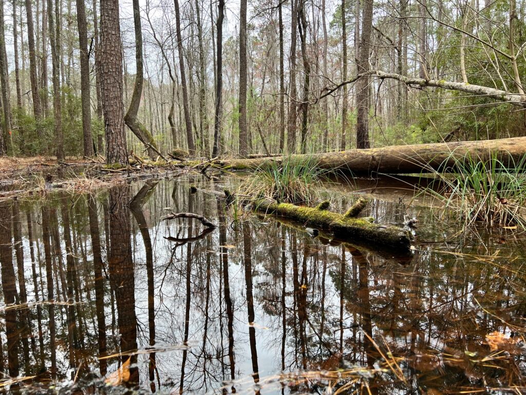 The Weekender: Santee State Park - Augusta Good News