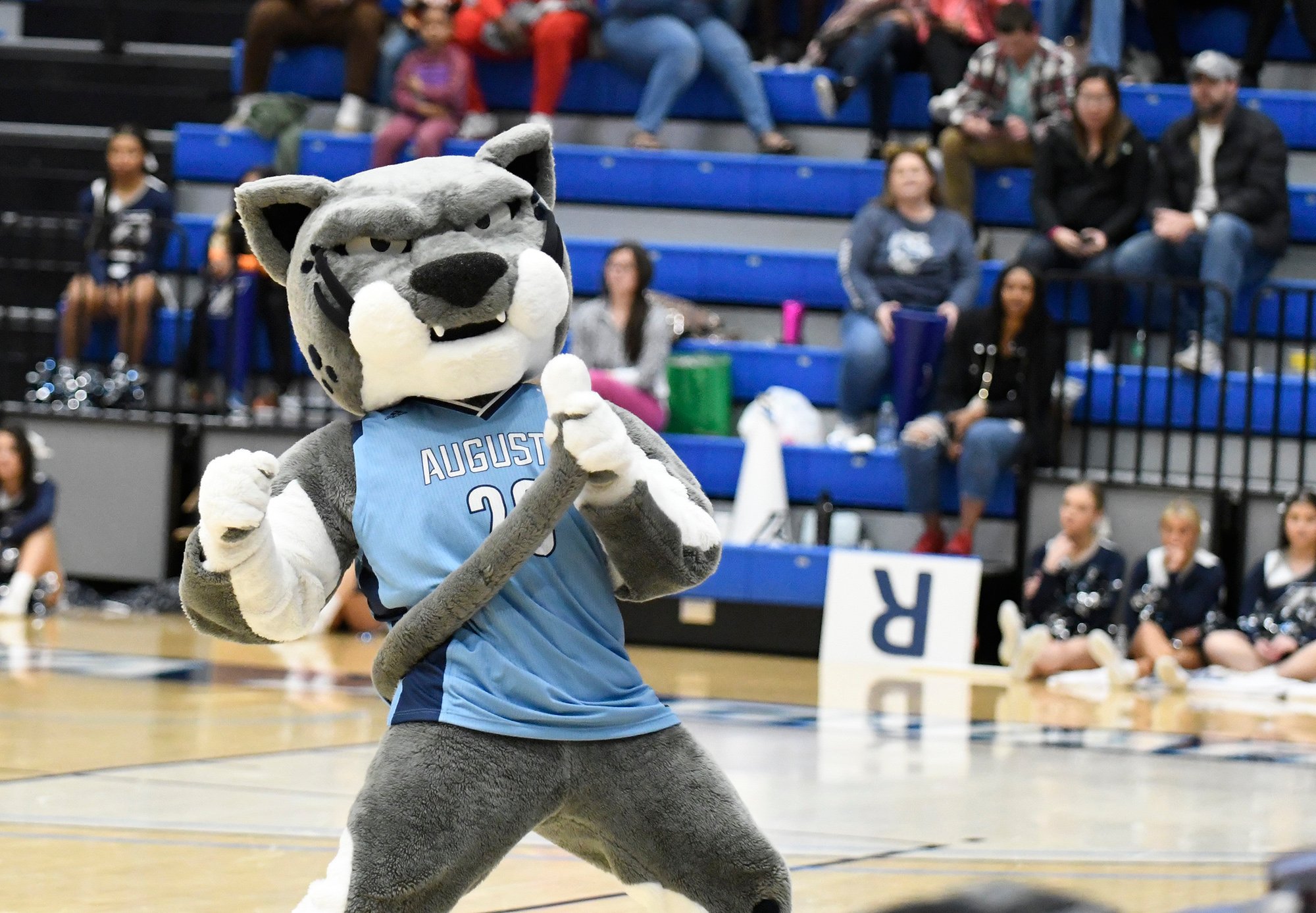 Augusta University to induct inaugural Hall of Fame class Feb. 21 ...