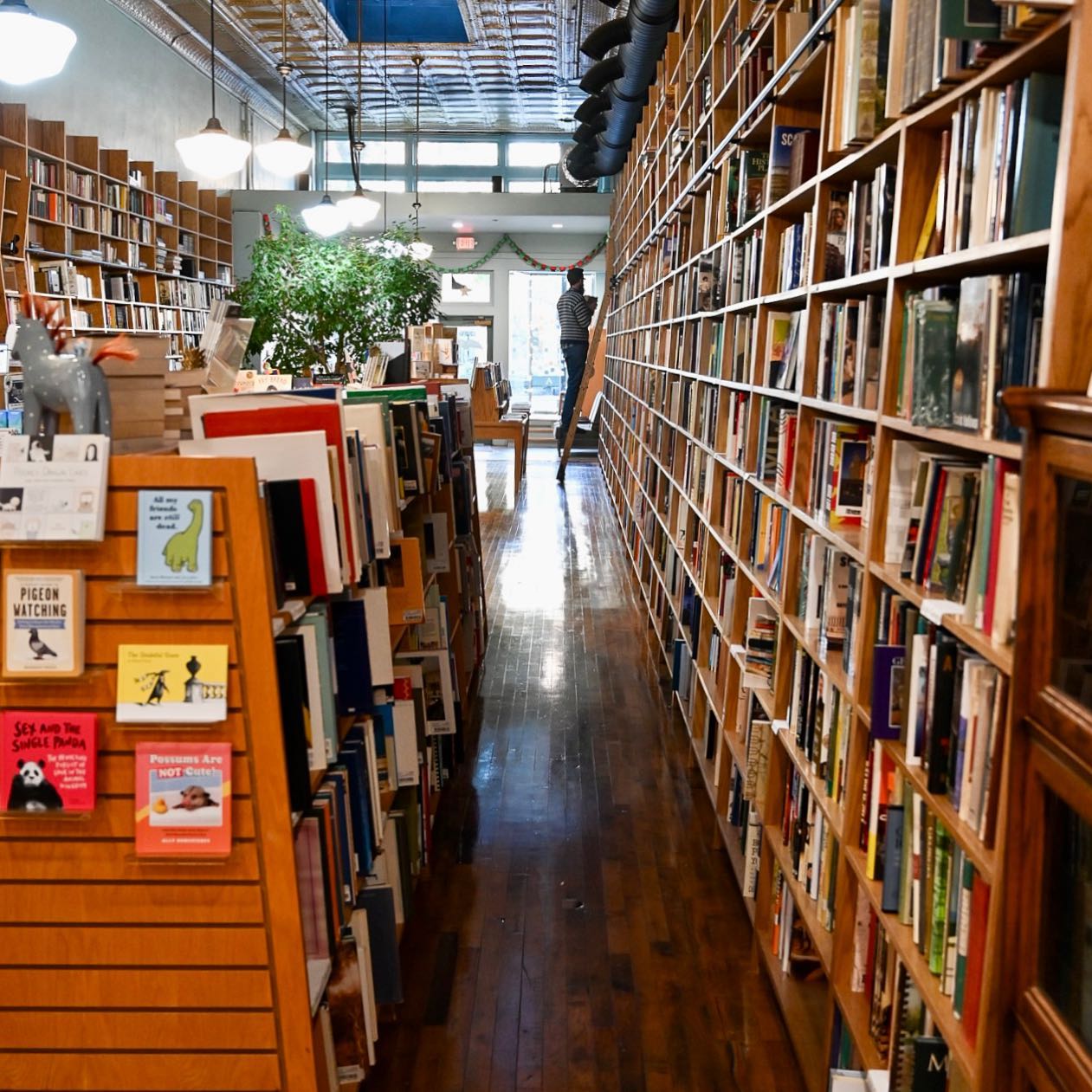 Author talks, special activities planned for Book Tavern - Augusta Good ...