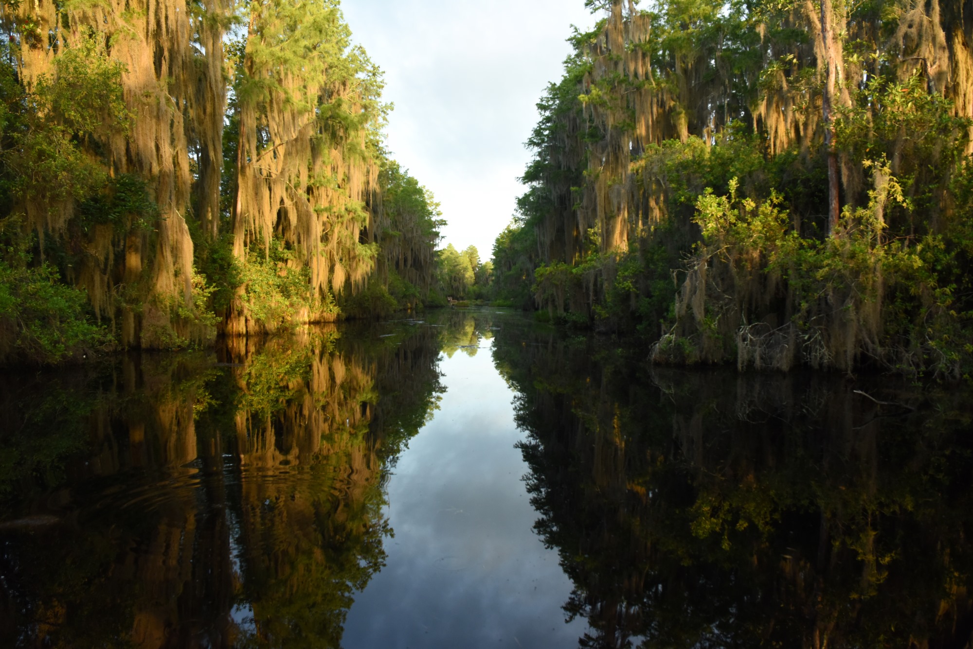 Black Cat Picture Show screens flicks Aug. 17-20 - Augusta Good News