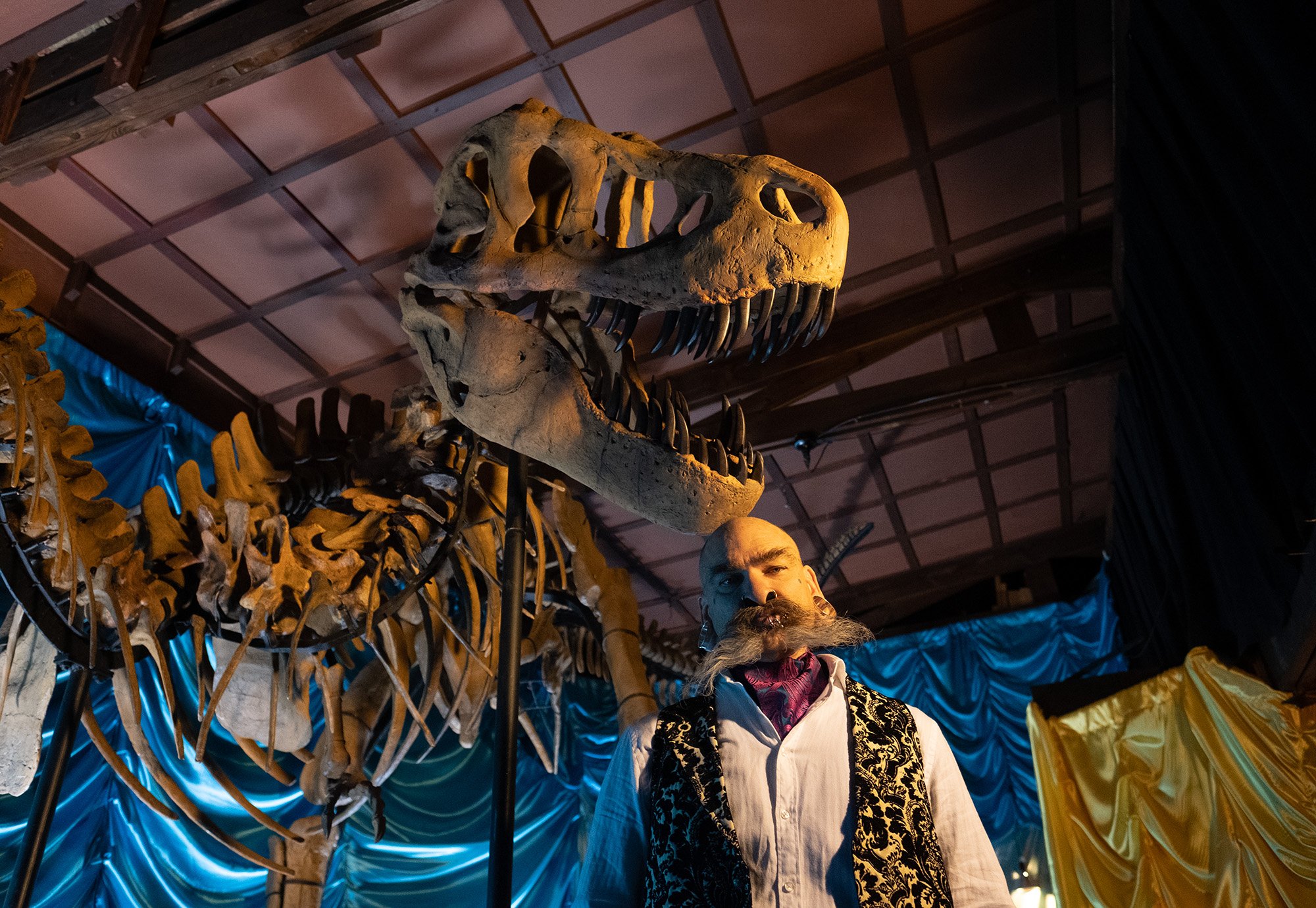 Pexcho's celebrates two-headed T. rex with weekend of events - Augusta ...