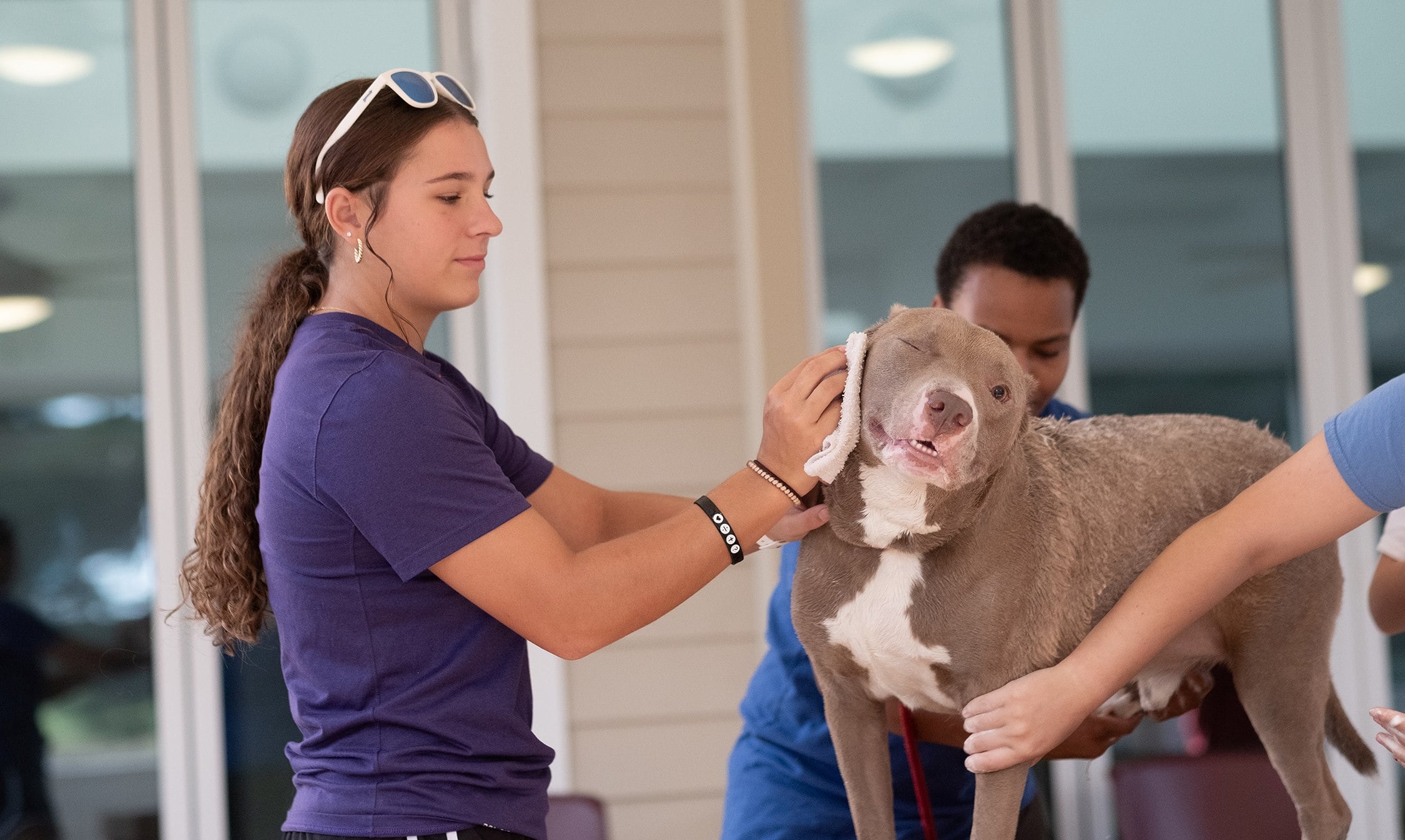 In pictures: Pup 'N Suds raises money for animal organization - Augusta ...