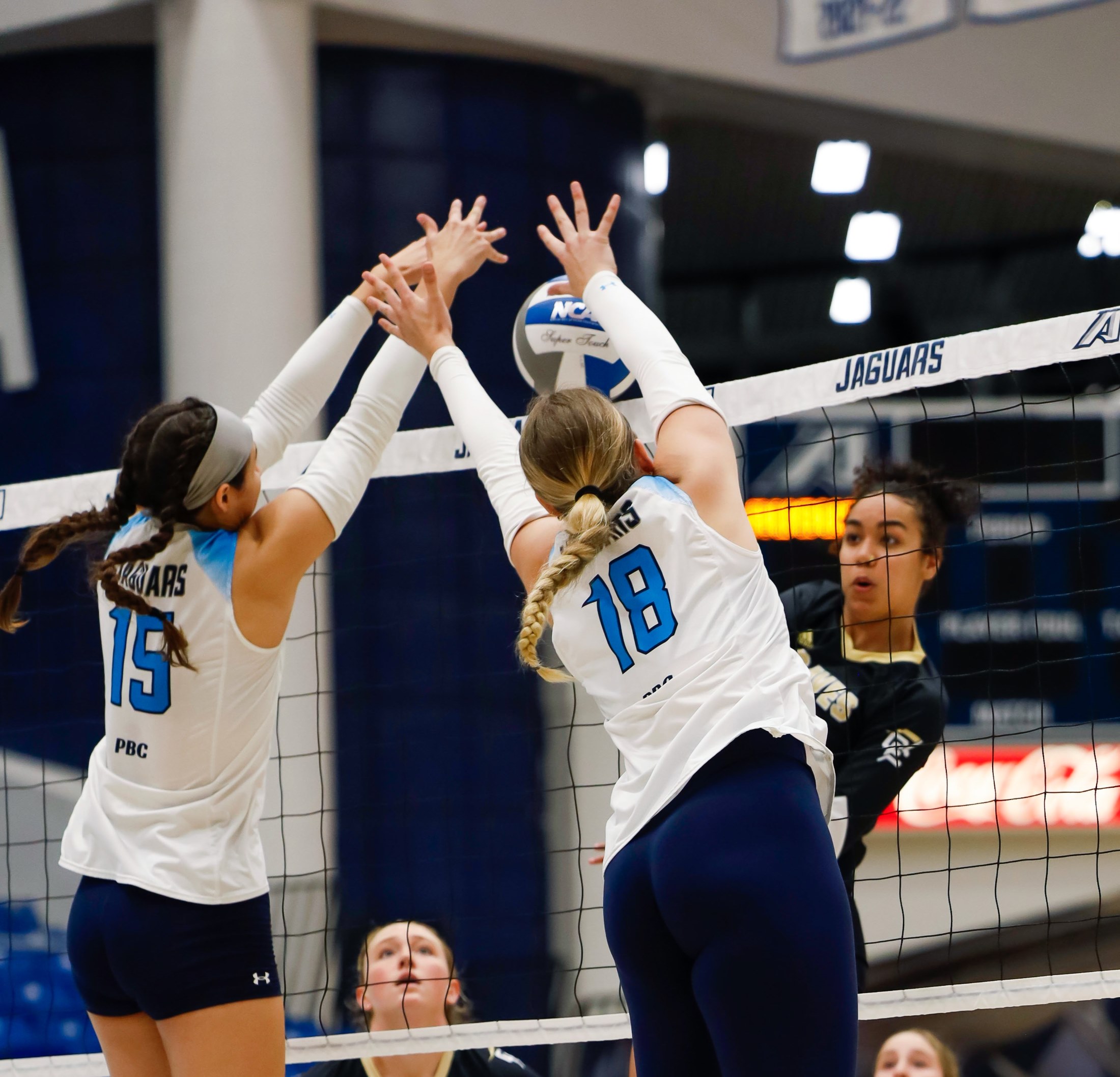 Utah rivals turned teammates boost AU to banner volleyball season ...