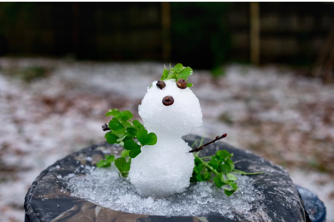 In pictures: Snow Day 2025 - Augusta Good News