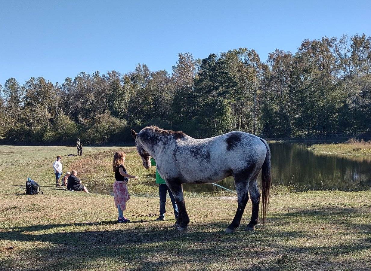 Four's the number: Give $4 on 4/4 to help 4H - Augusta Good News