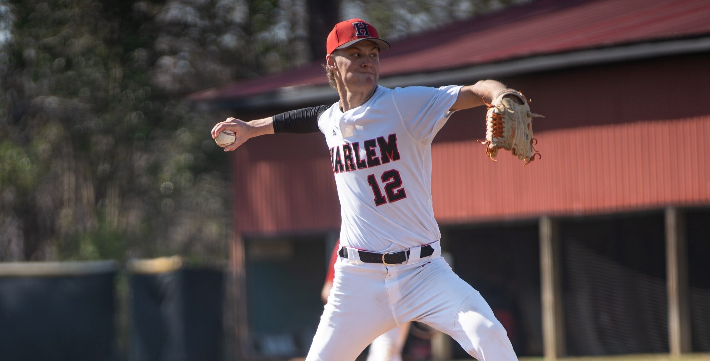 Pickens County ends Harlem's bid for third straight baseball title ...