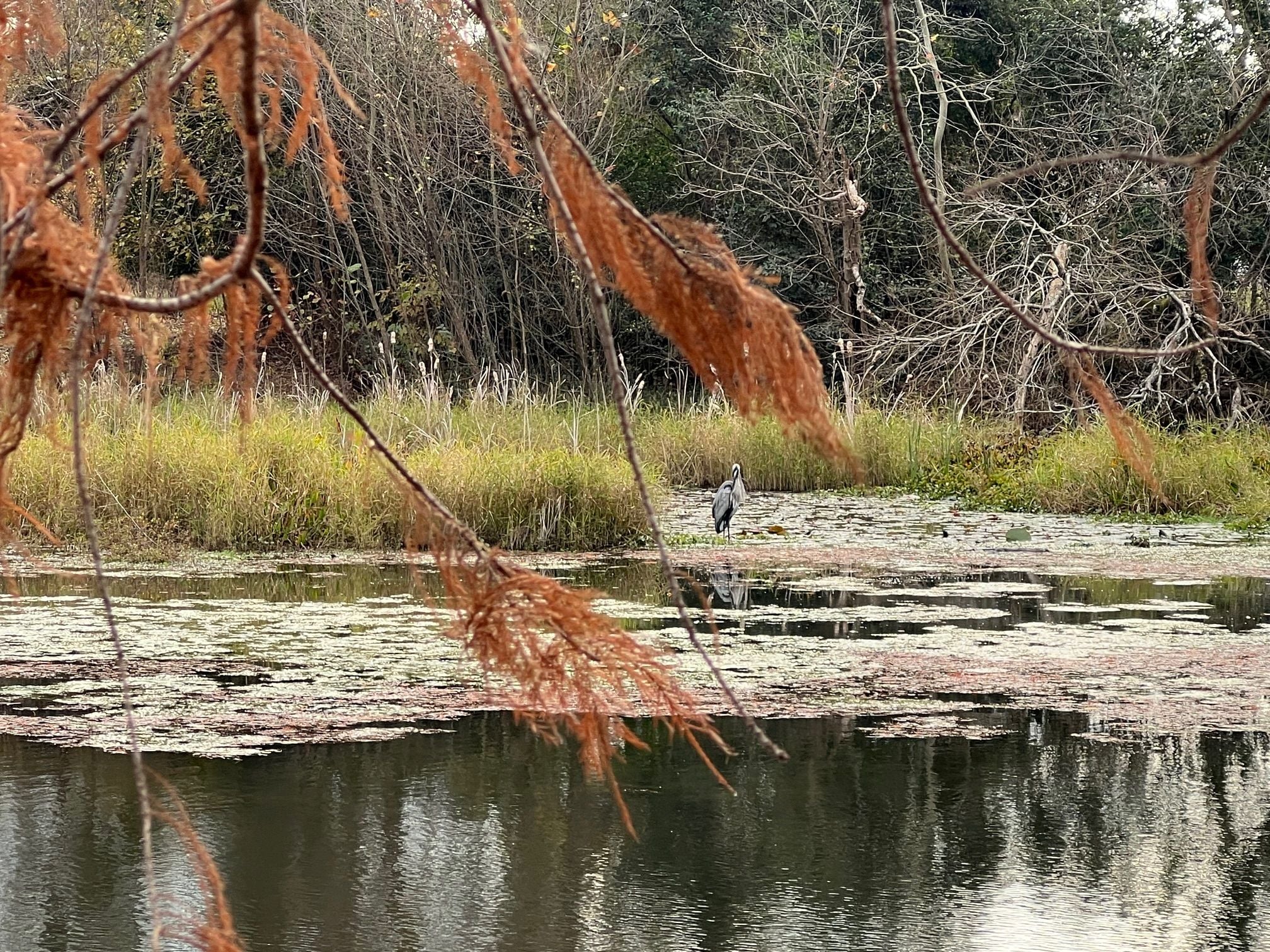 Spring into Brick Pond Park April 18 - Augusta Good News